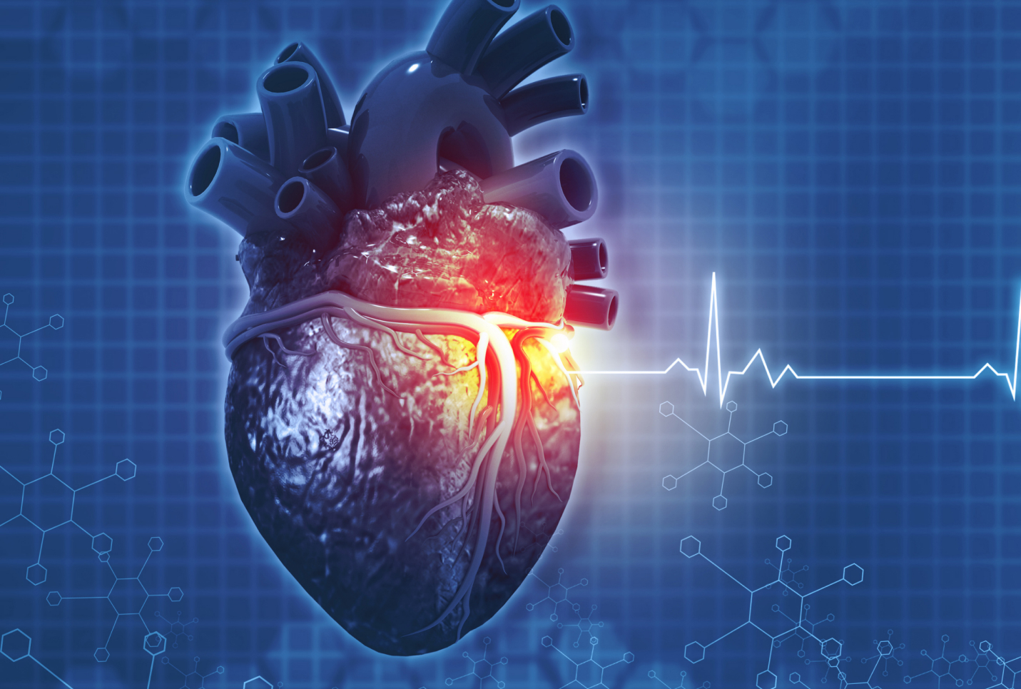 What Are The Four Chambers Of The Heart Carda Health